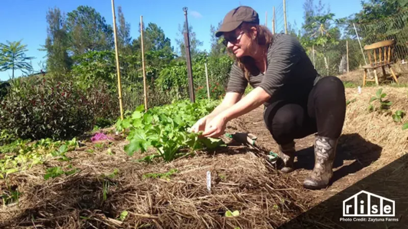 Three Awe-Inspiring Examples of Permaculture | Third Horizon Earth Three Awe-Inspiring Examples of Permaculture | Third Horizon Earth